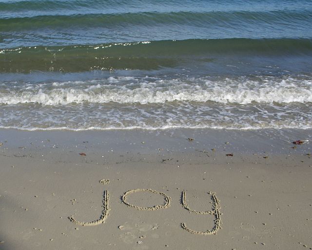 Surprised by JOY! – Reflection of Providence